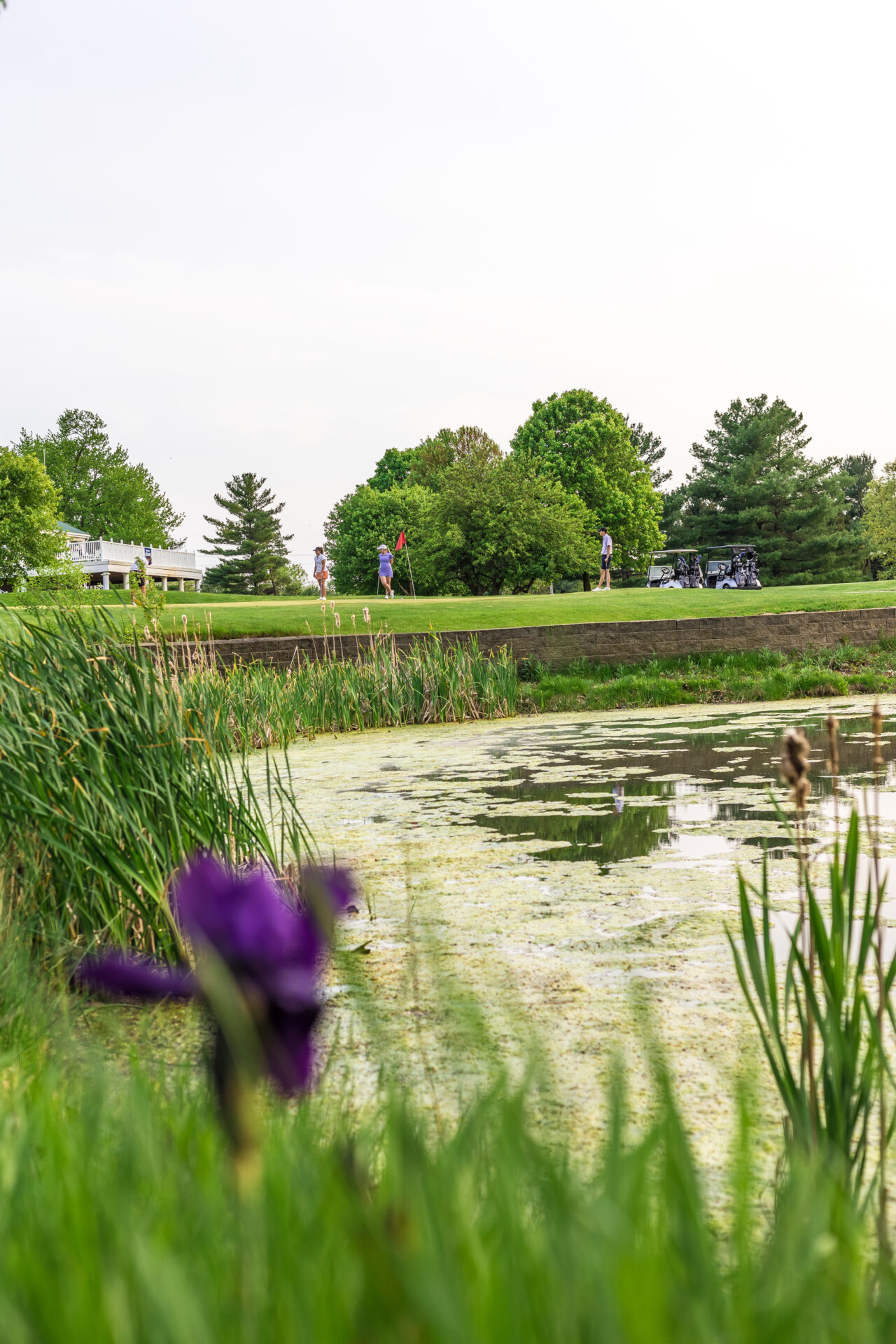 Book - Black Squirrel Golf Club