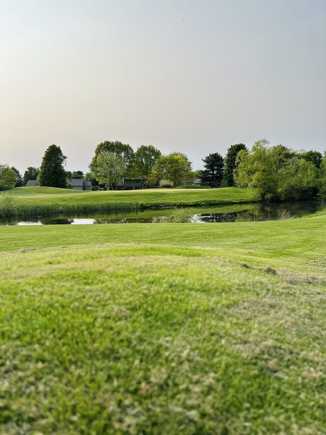 Memberships - Black Squirrel Golf Club
